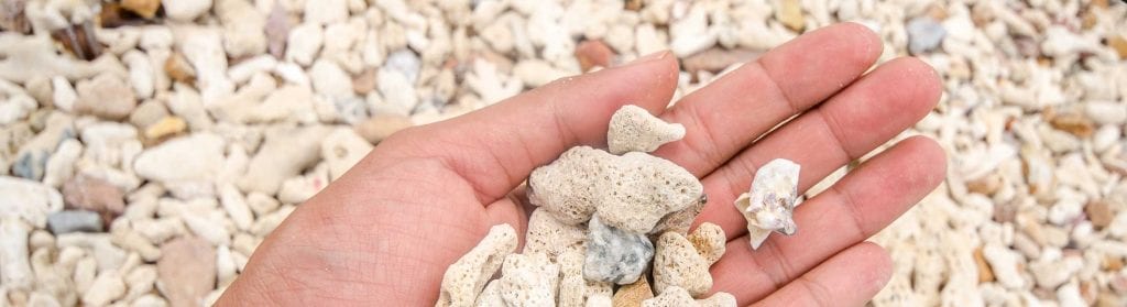 Coral Minerals - Marine Coral Calcium | Coral LLC